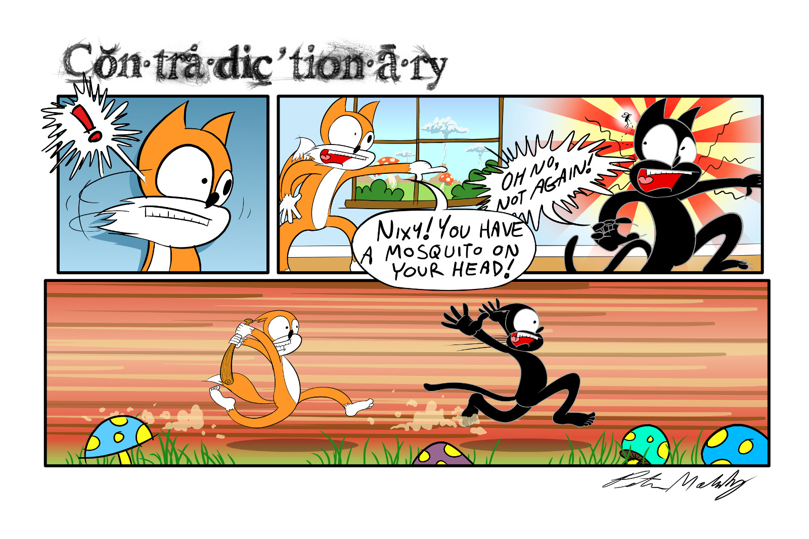 Peter Markley Portfolio