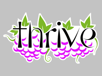 Peter Markley Portfolio