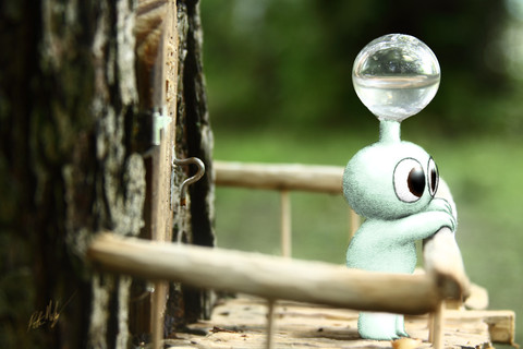 Peter Markley Portfolio